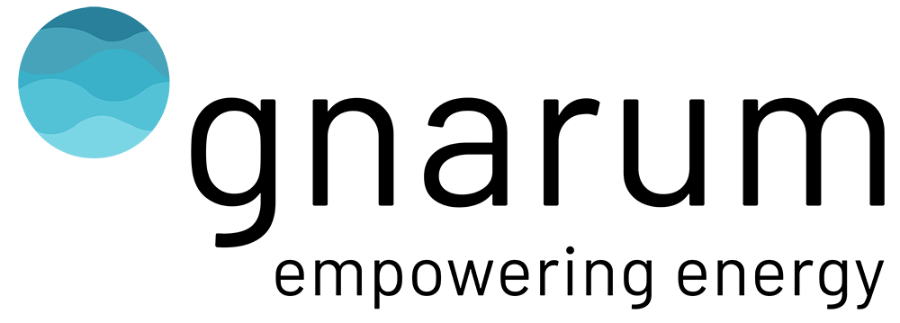 Solutions for the Energy Industry | Meteomatics