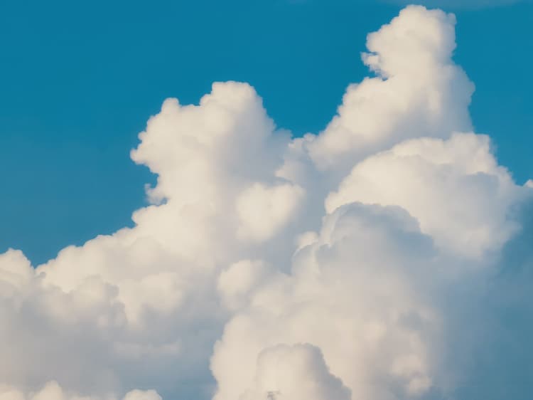 How to Use the Weather API | Meteomatics