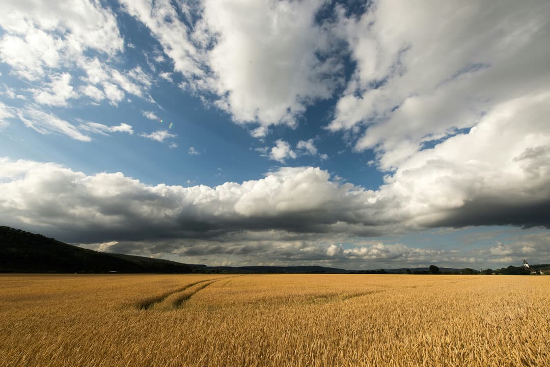 ECMWF’s AIFS Now Available in the Weather API | Meteomatics